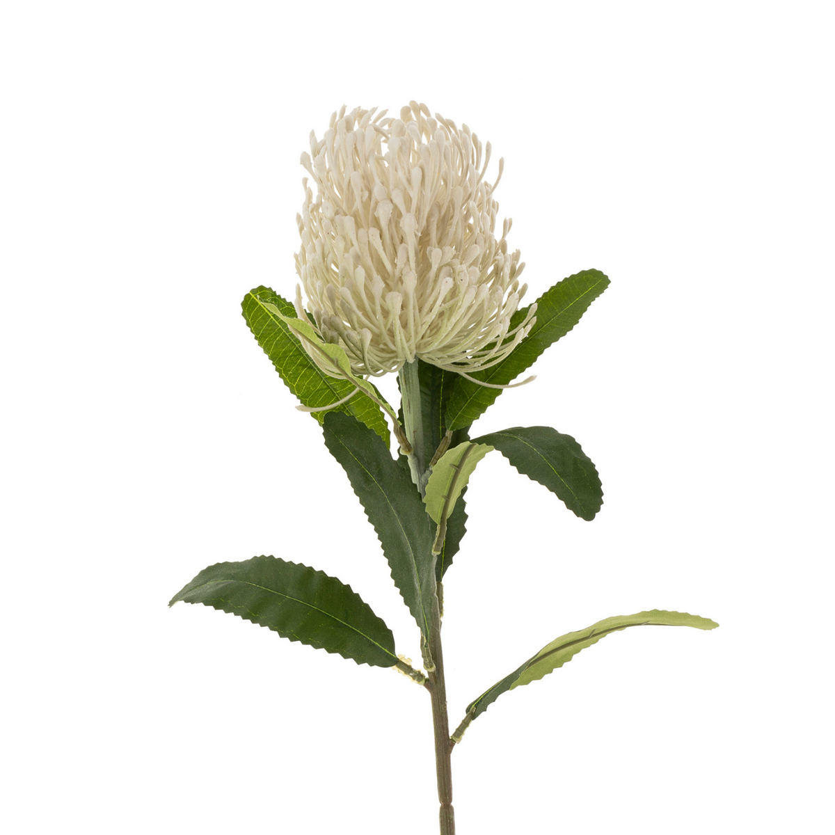 Artificial Pin Cushion 24 Stem