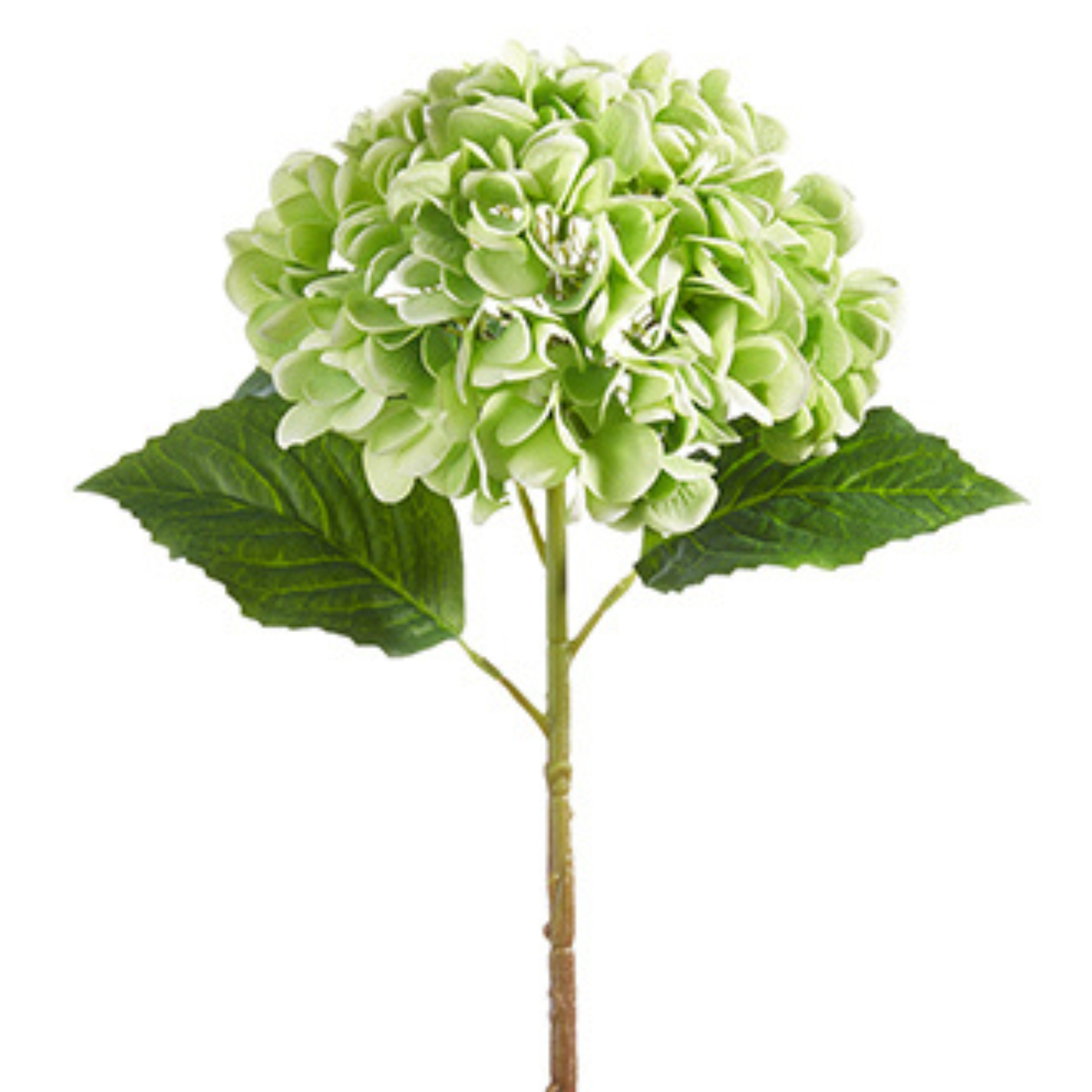 Artificial Green Hydrangea Real Touch Stem