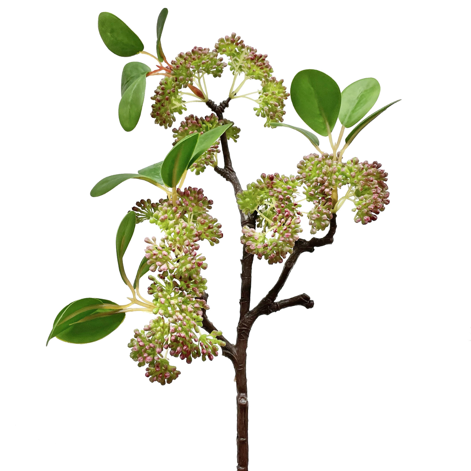 Artificial Seeded Ficus Stem