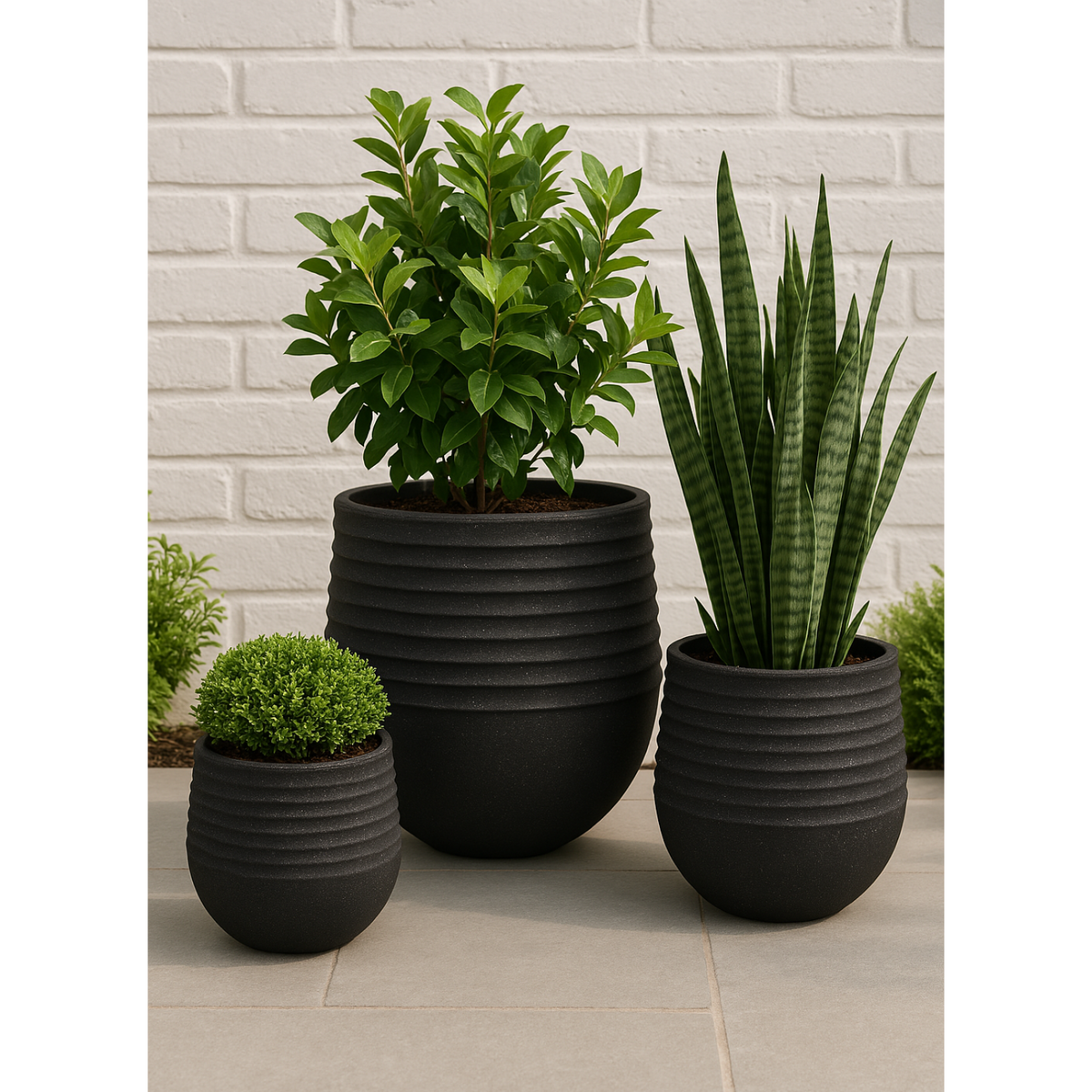 Pots & Planters